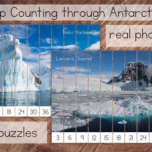 Skip Counting Through Antarctica, Preschool Skip Counting Puzzles - Etsy