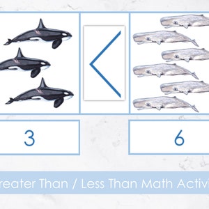 Wonderful Whales Bundle, Preschool Literacy, Math DIGITAL DOWNLOAD - Etsy