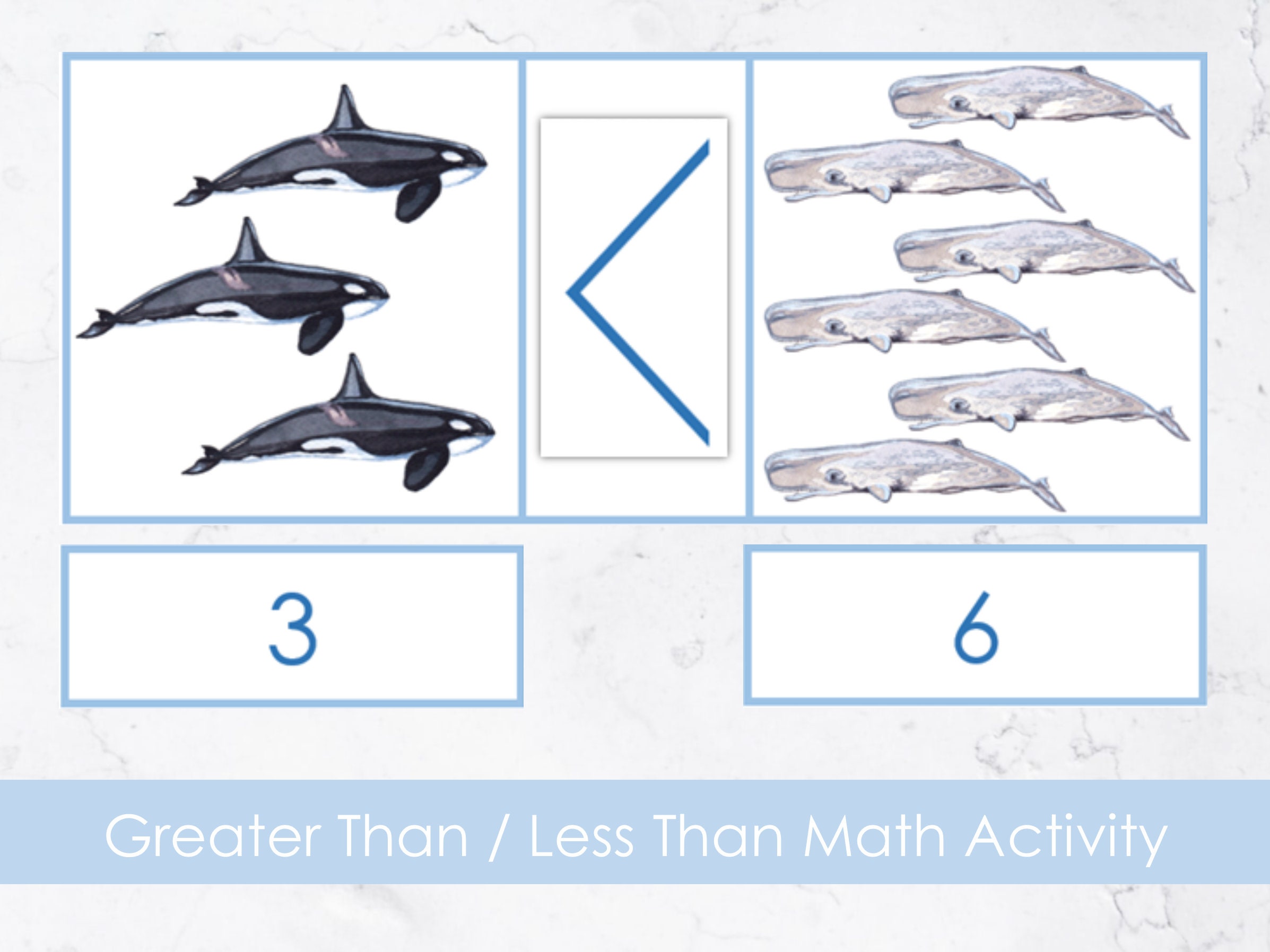 Wonderful Whales Bundle Preschool Literacy Math DIGITAL - Etsy