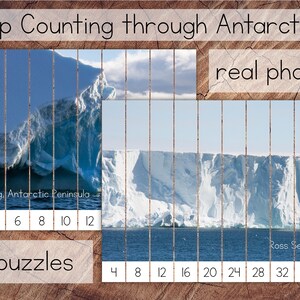 Skip Counting Through Antarctica, Preschool Skip Counting Puzzles - Etsy