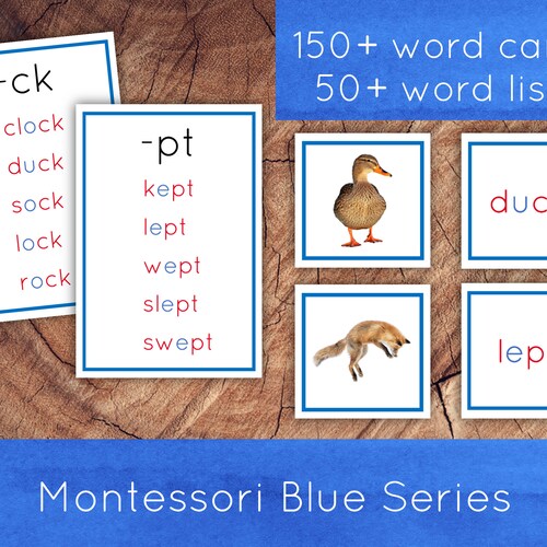 Montessori Blue Series Language Cards Learn to Read - Etsy