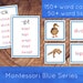 Montessori Blue Series Language Cards Learn to Read | Etsy