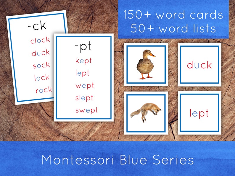 Montessori Blue Series Language Cards Learn to Read | Etsy