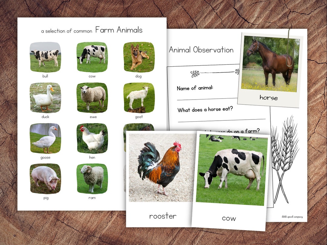 Farm Animals Pack With Extension - Etsy