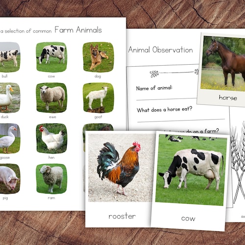 Farm Animals Pack With Extension - Etsy