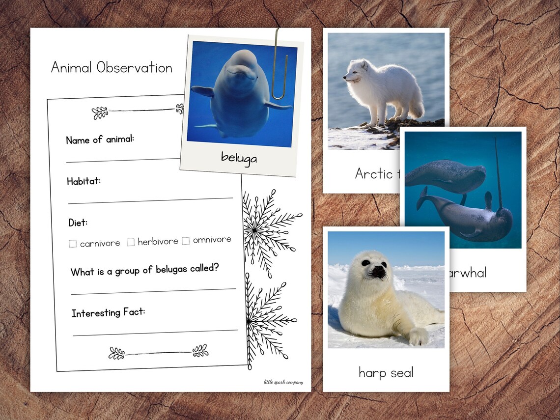 Arctic Animals Pack With Extension - Etsy