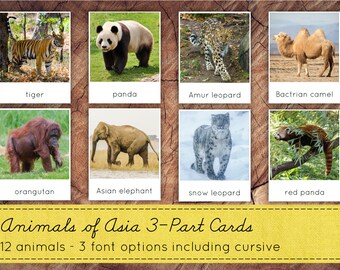 Asian Animals | Etsy