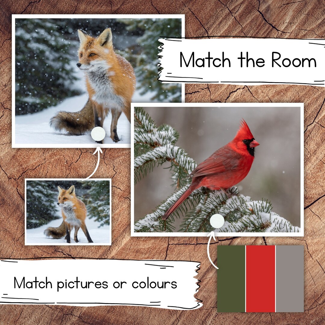Winter Match the Room, Montessori Preschool - Etsy