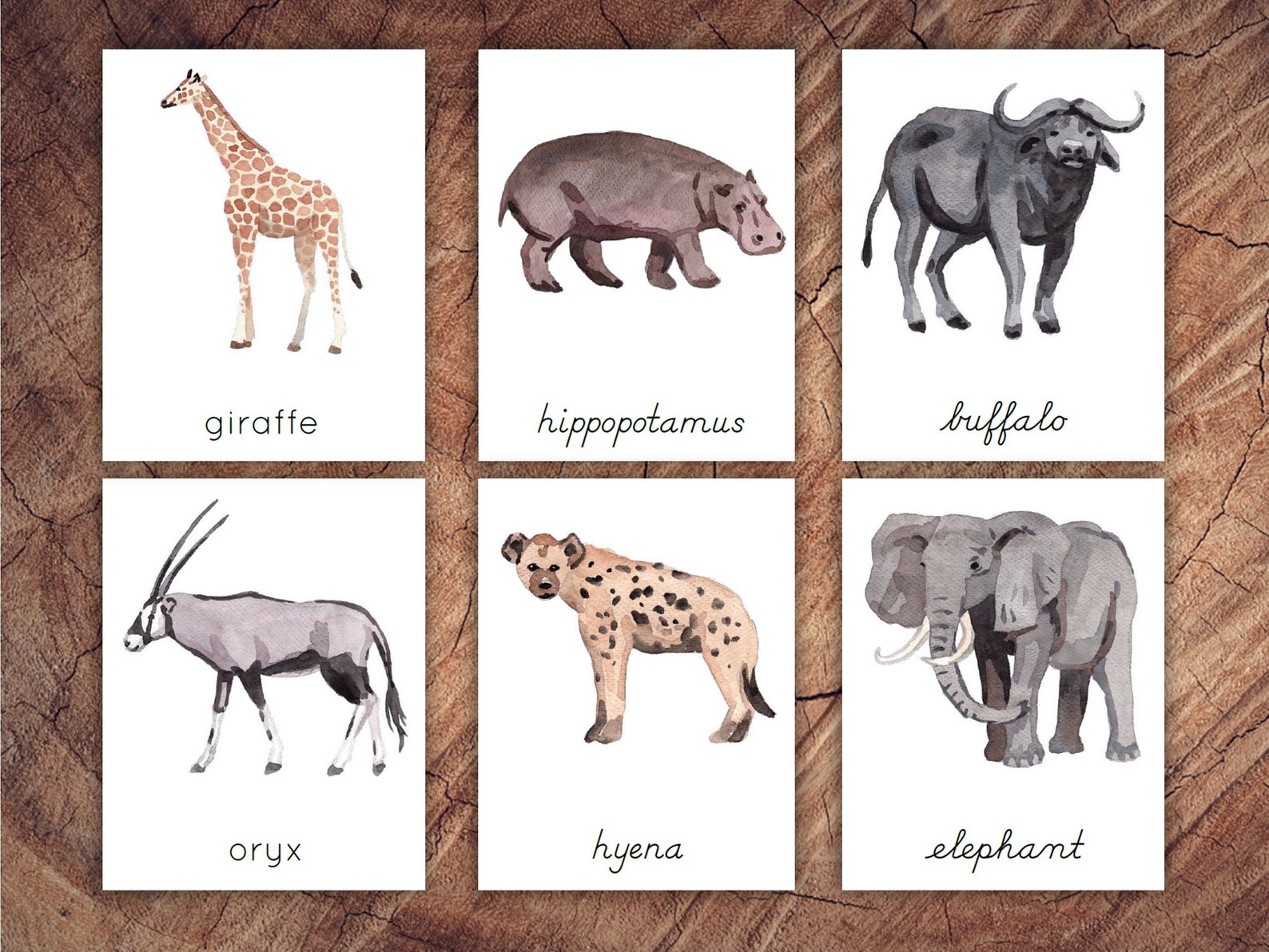 African Animals Bundle Preschool Literacy Math | Etsy