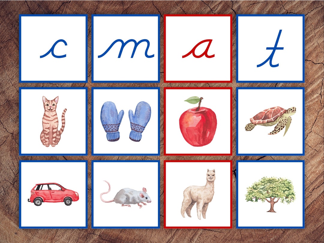 Beginning Letter Sounds Picture Sorting Card Set, Cursive Edition, Blue ...