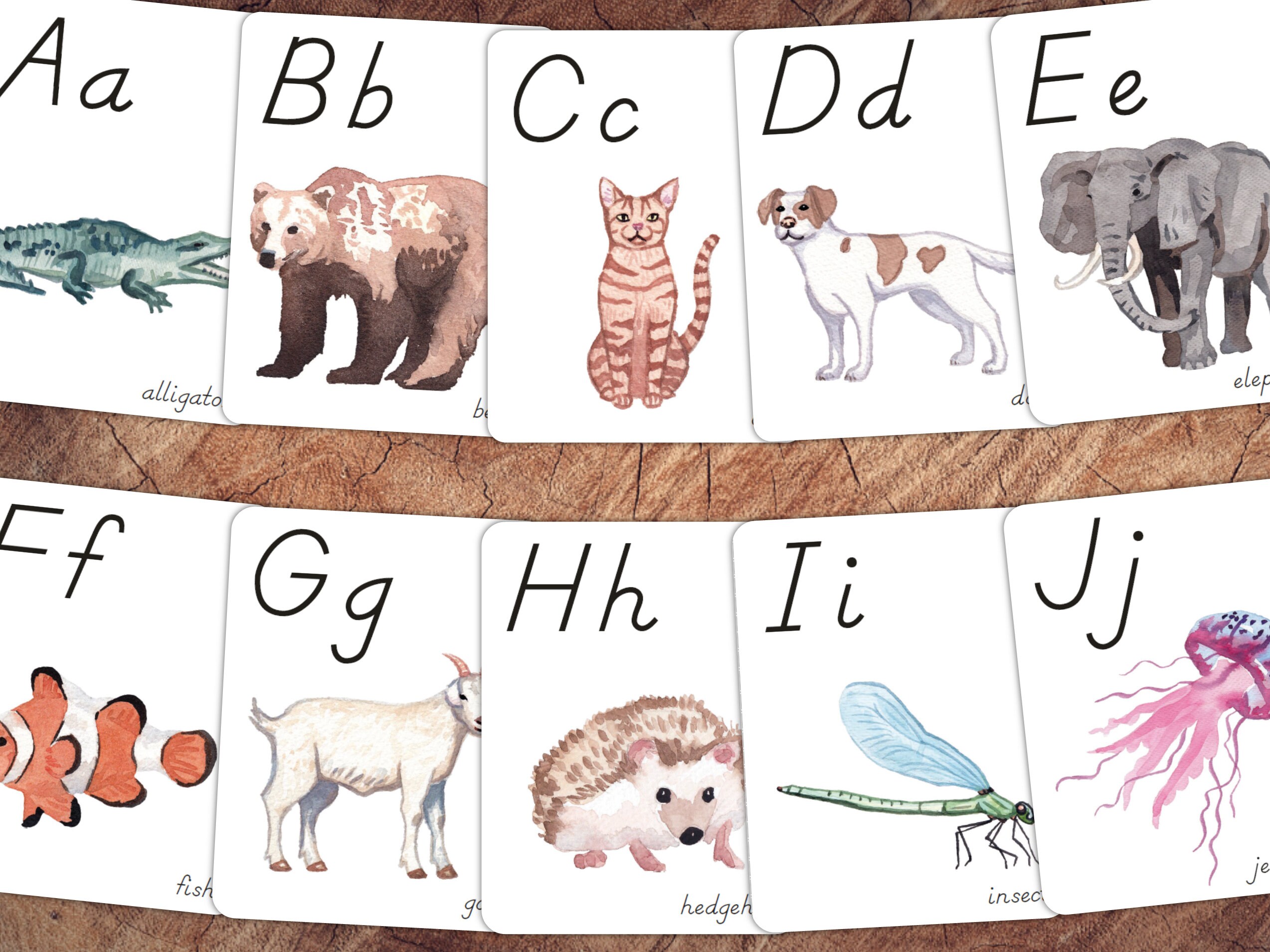 Animals of the World Alphabet Cards Animal Nursery Decor | Etsy
