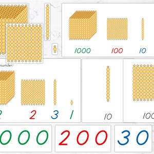 Montessori Golden Beads Bundle Printable Math Resource | Etsy