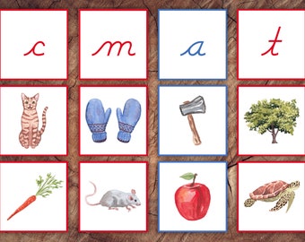 Preschool Consonant Blends Picture Matching Cards Cursive | Etsy