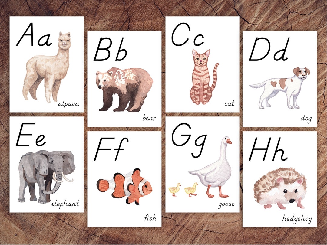 Animals of the World Alphabet Cards, D'nealian-style Print - Etsy
