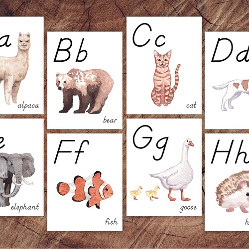 Animals of the World Alphabet Cards D'nealian-style Print - Etsy Canada