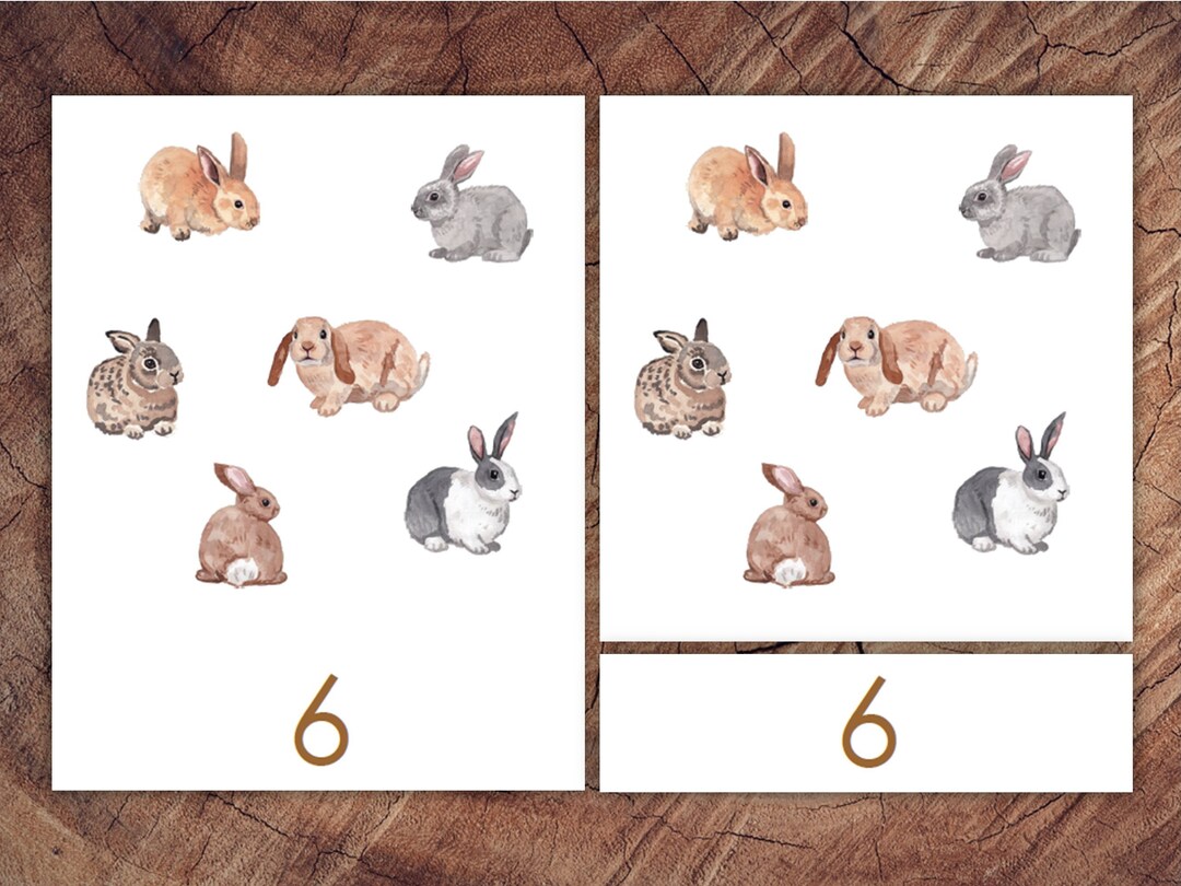 Counting Bunnies Spring Easter Number Matching Cards DIGITAL - Etsy