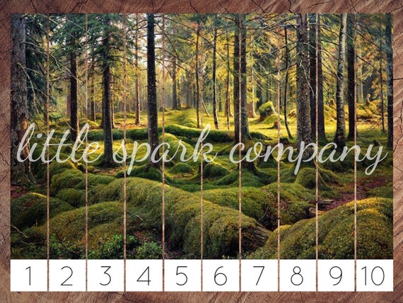 Skip Counting Through the Forest with Shishkin Preschool Skip | Etsy