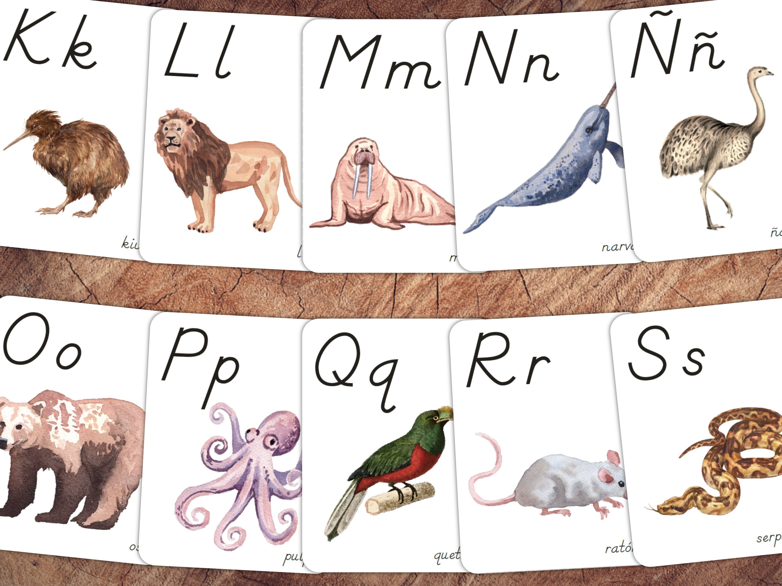 Spanish Alphabet Animals Posters | Spanish Alphabet 8EC
