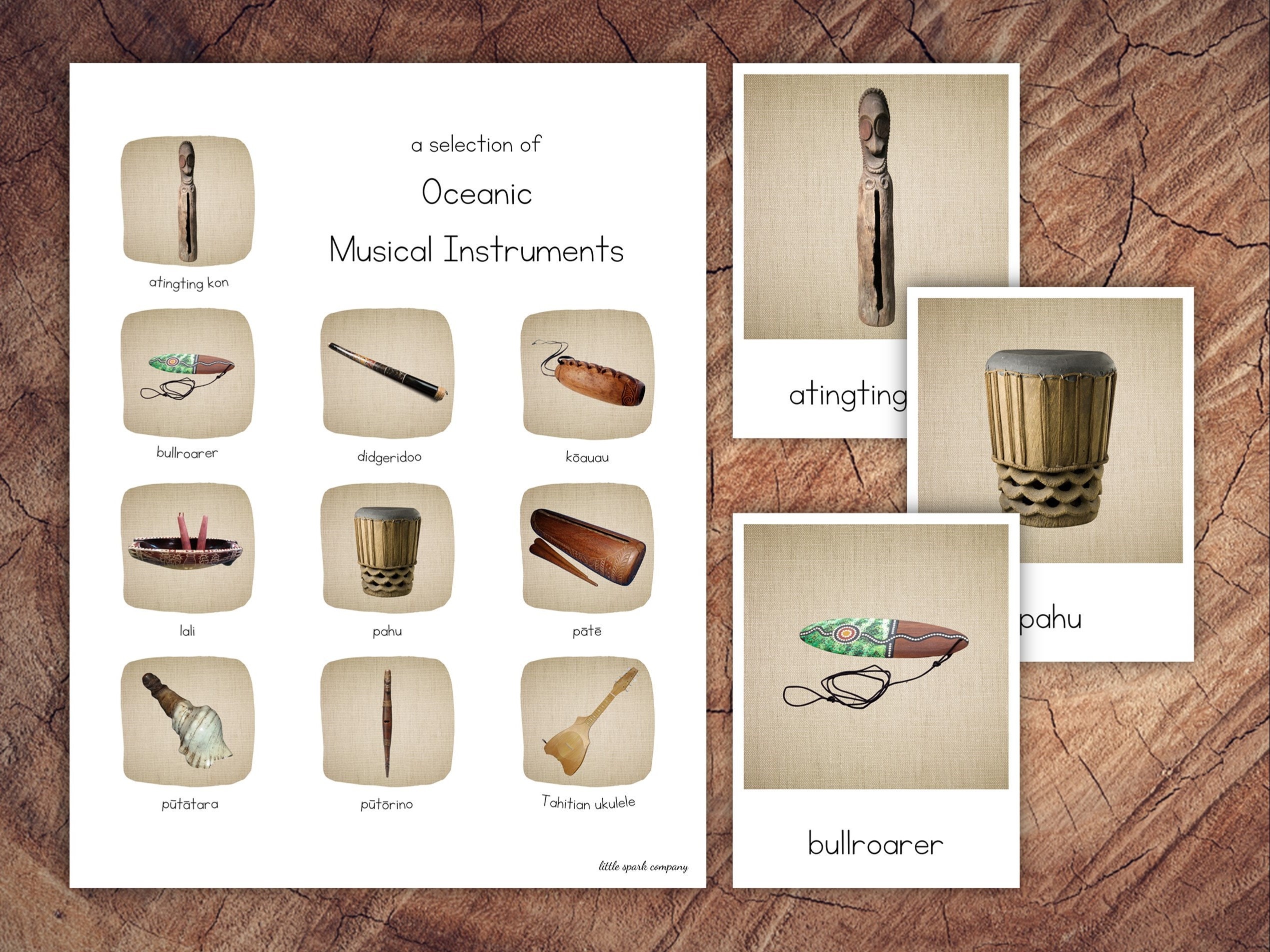 Musical Instruments List