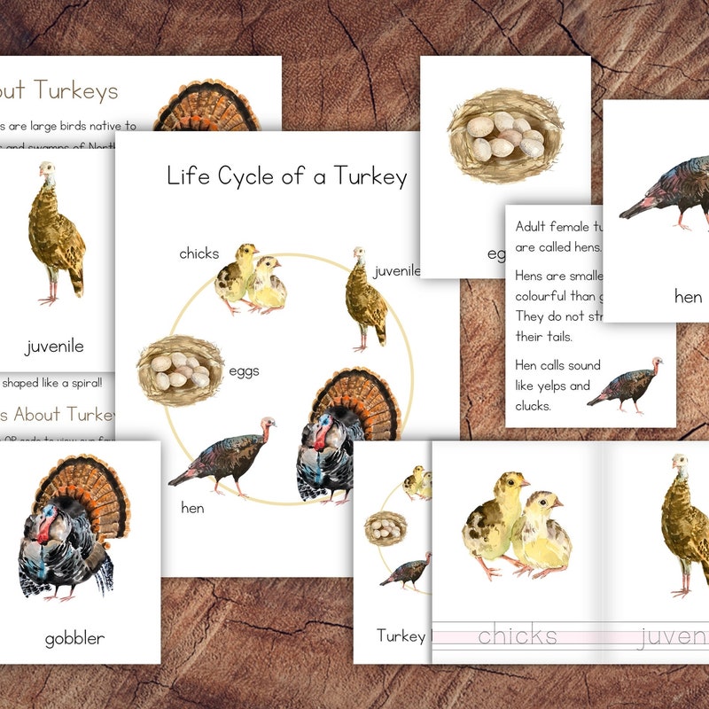Turkey Card - Etsy