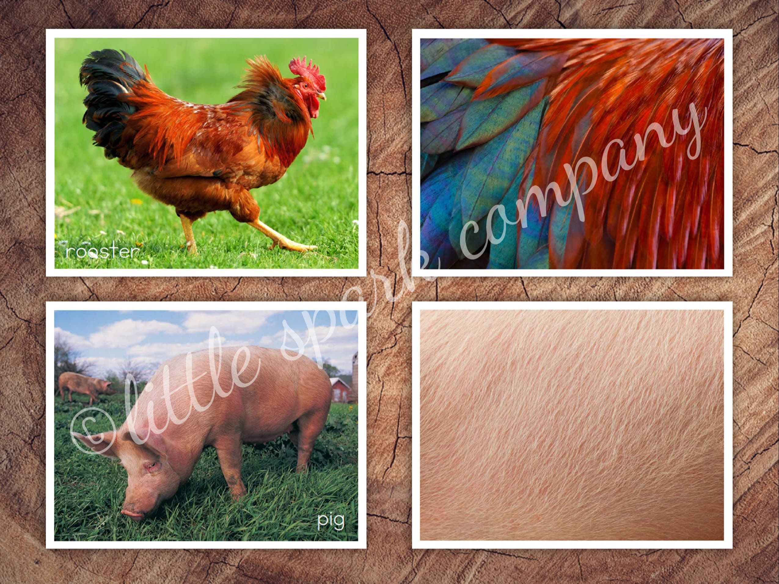 Farm Animals Fur Skin Pattern Matching Toddler Preschool - Etsy Canada