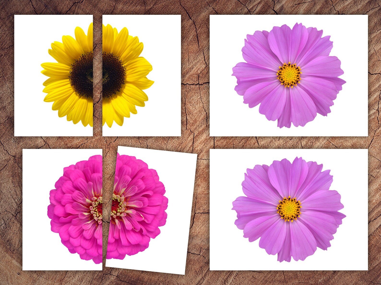 Flower Symmetry Puzzles Matching Cards Toddler Preschool | Etsy