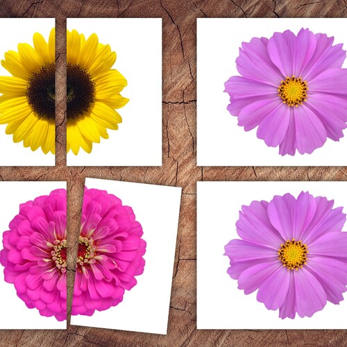 Flower Symmetry Puzzles Matching Cards Toddler Preschool | Etsy
