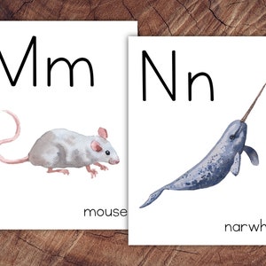 Animals of the World Alphabet Posters, Large Format for Classroom Use ...