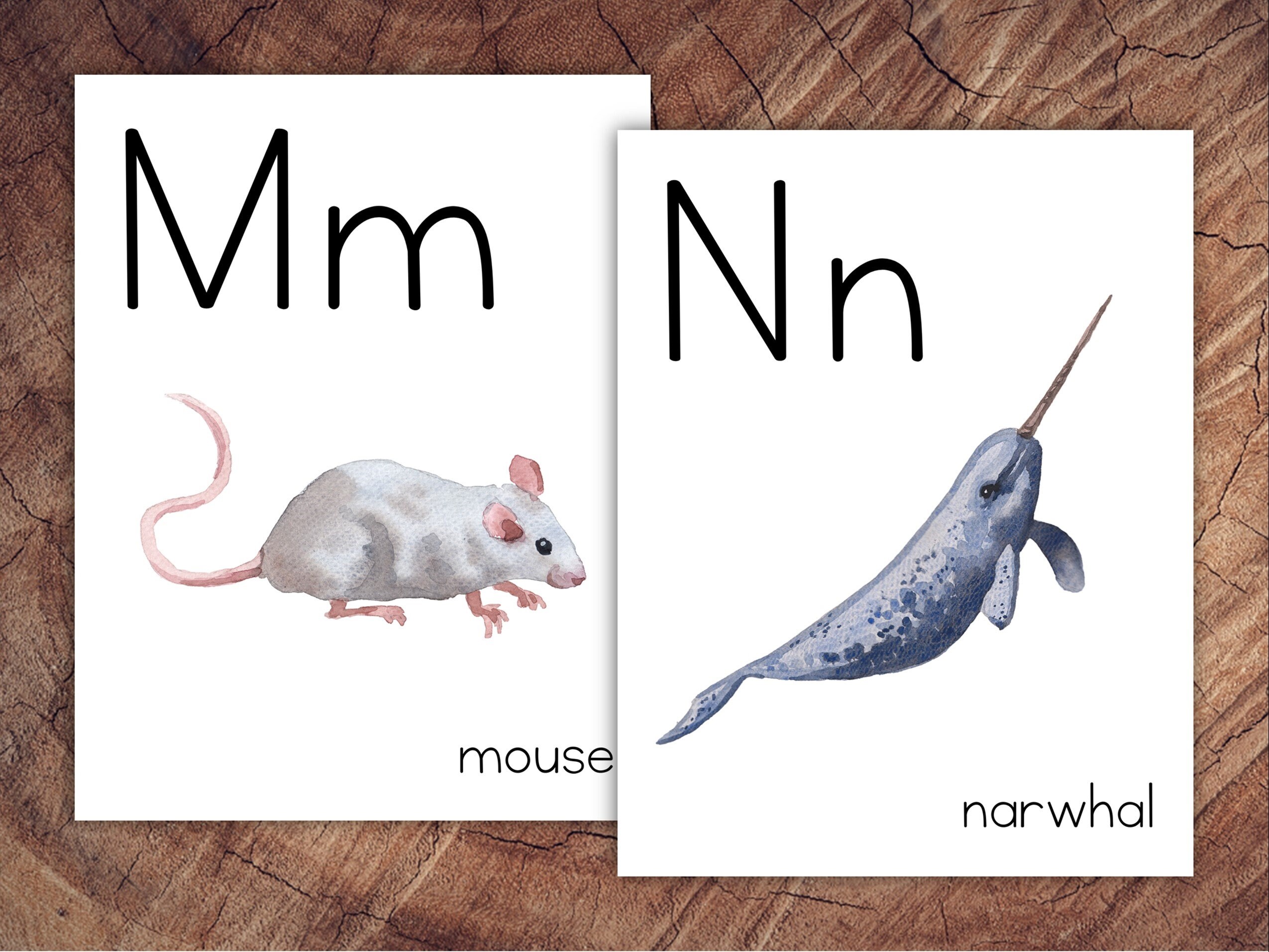 Animals of the World Alphabet Posters, Large Format for Classroom Use ...