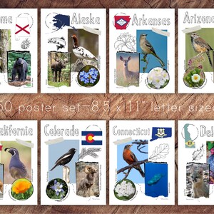 US States Poster Set , Homeschool Geography - Etsy