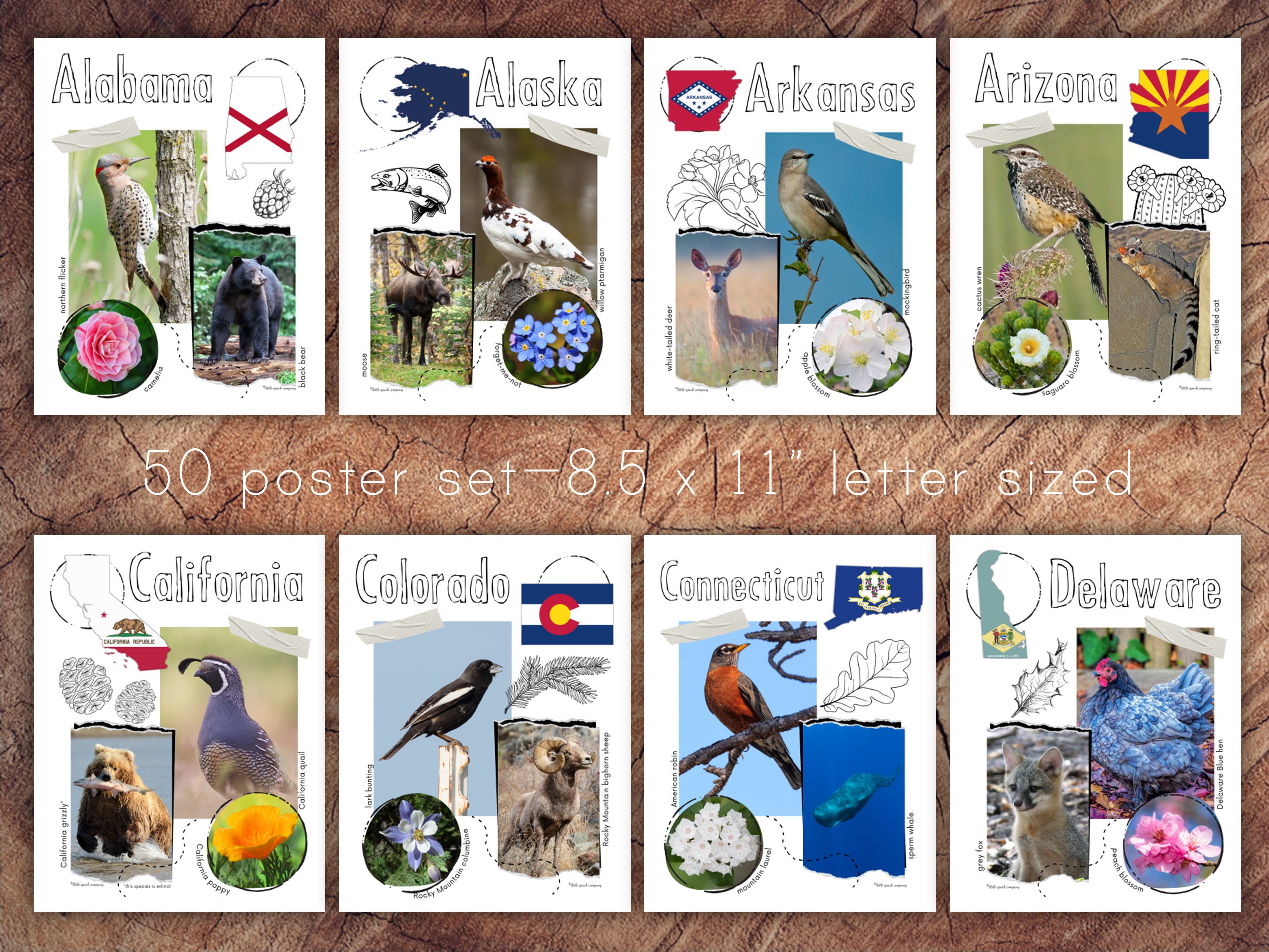 US States Poster Set Homeschool Geography | Etsy Canada