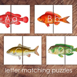 Rainbow Fish Preschool Basics Bundle, Homeschool Printable - Etsy