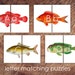 Rainbow Fish Preschool Basics Bundle, Homeschool Printable - Etsy