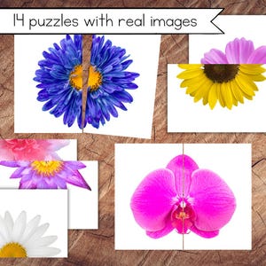 Flower Symmetry Puzzles, Matching Cards, Toddler Preschool Activity - Etsy