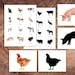 Farm Shadow Matching Cards, Silhouette Matching, Toddler Preschool ...