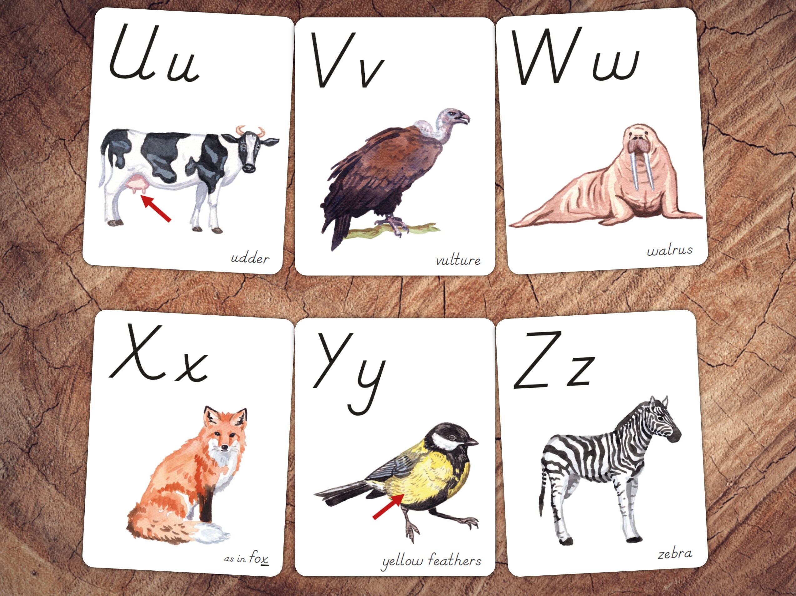 Animals of the World Alphabet Cards Animal Nursery Decor | Etsy