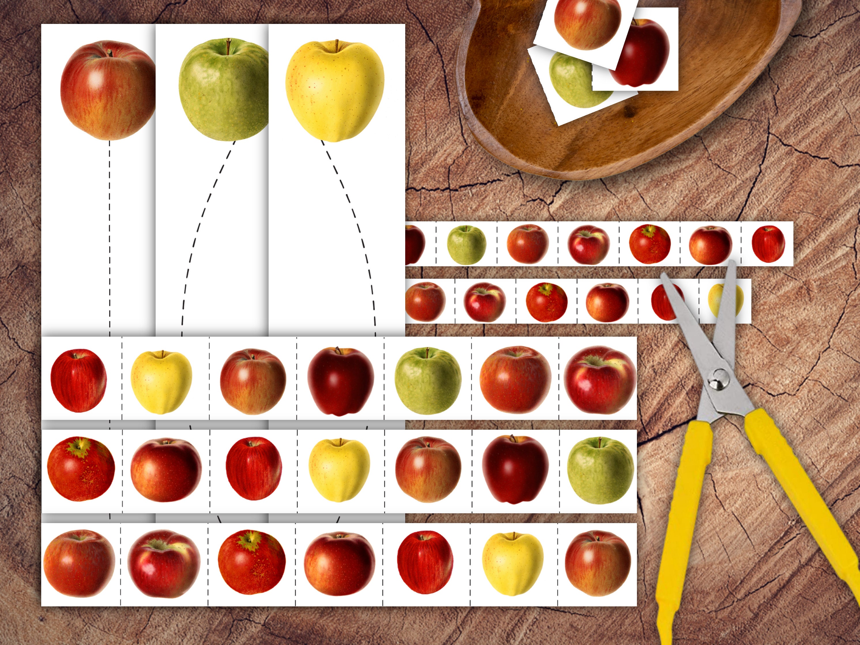 Crisp Apples Scissor Strips Set Preschool Scissor Practice | Etsy