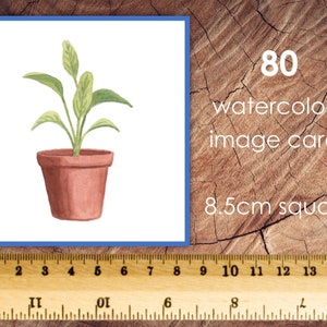 Preschool Consonant Blends Picture Matching Cards, Cursive Edition - Etsy