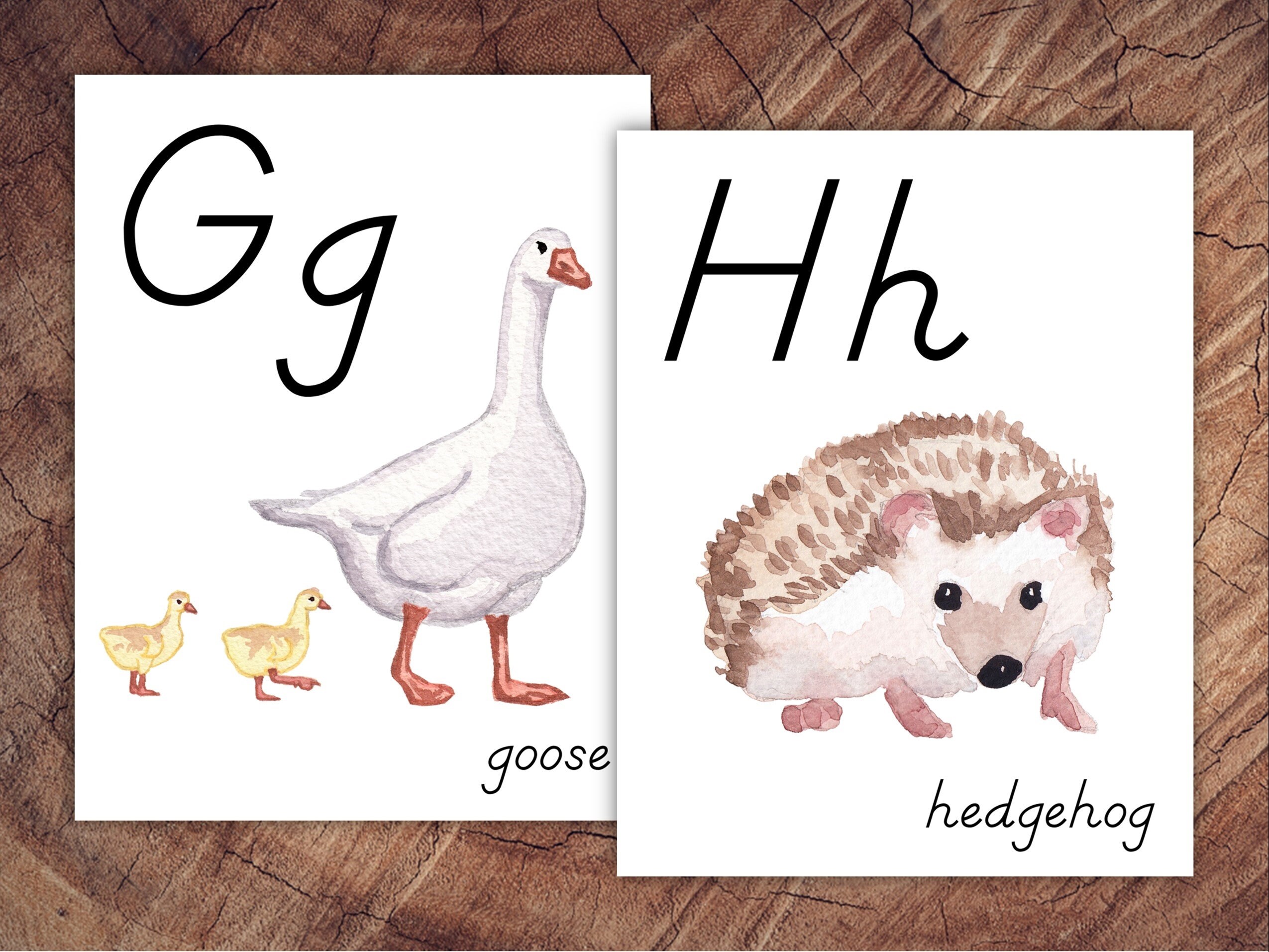 Animals of the World Alphabet Posters D'nealian-style | Etsy