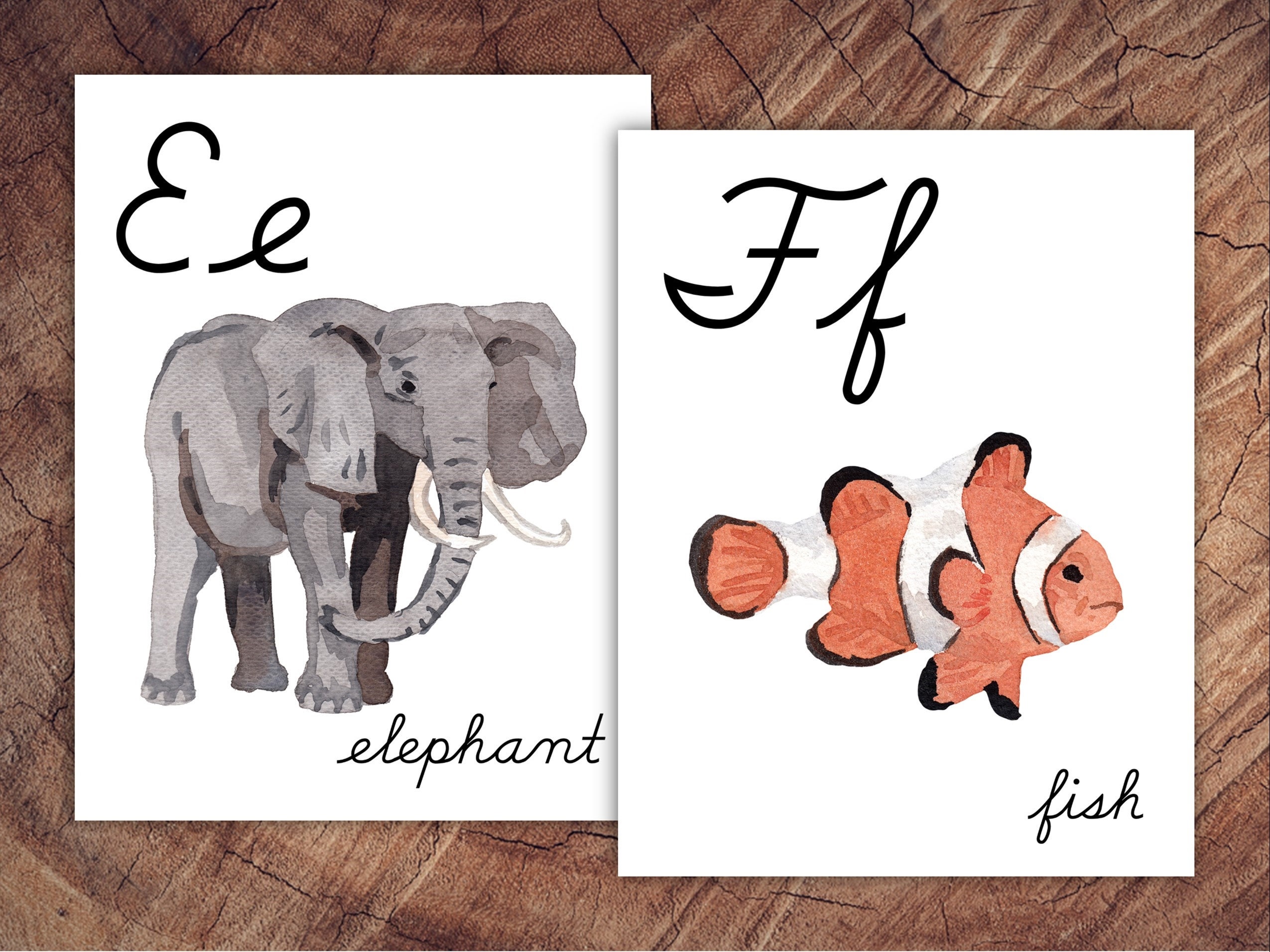 Animals of the World Alphabet Posters CURSIVE Large Format | Etsy