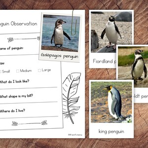 Penguins Pack With Extension - Etsy