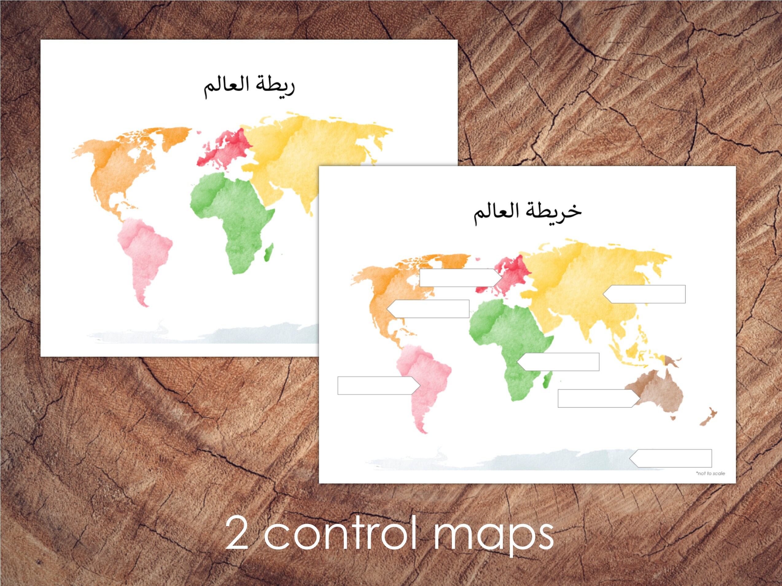 ARABIC Continents of the World 3-part Card Set Montessori - Etsy Australia