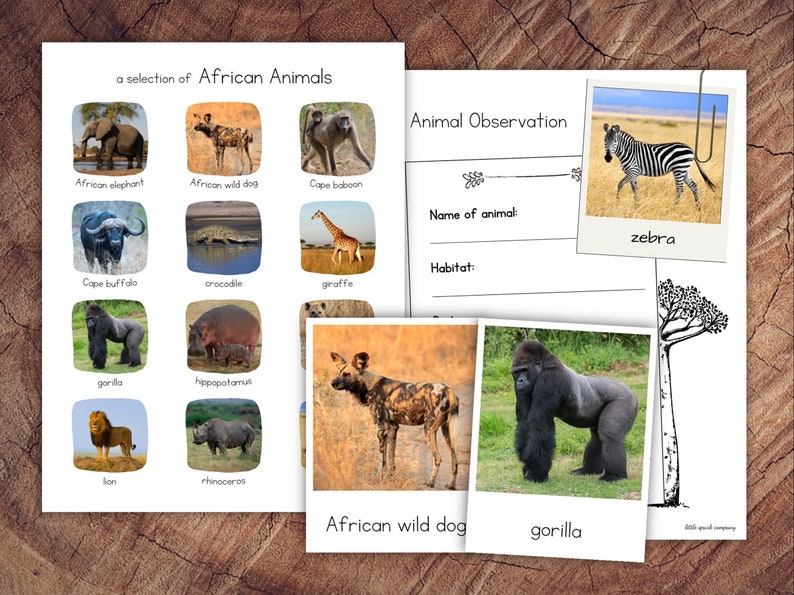 African Animals Pack With Extension - Etsy