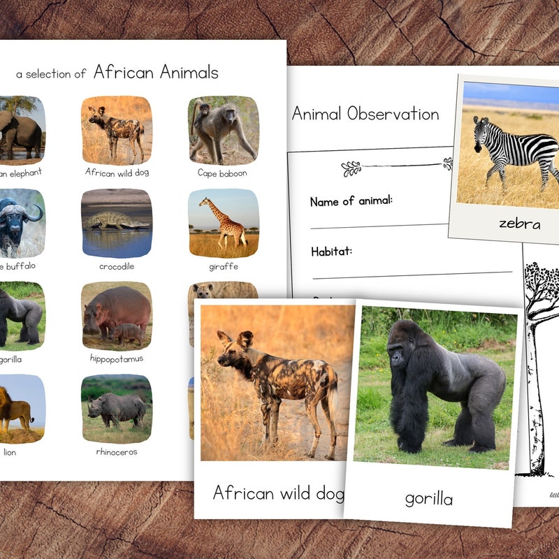 African Animals - Etsy