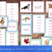 Montessori Blue Series Language Cards Learn to Read - Etsy Canada