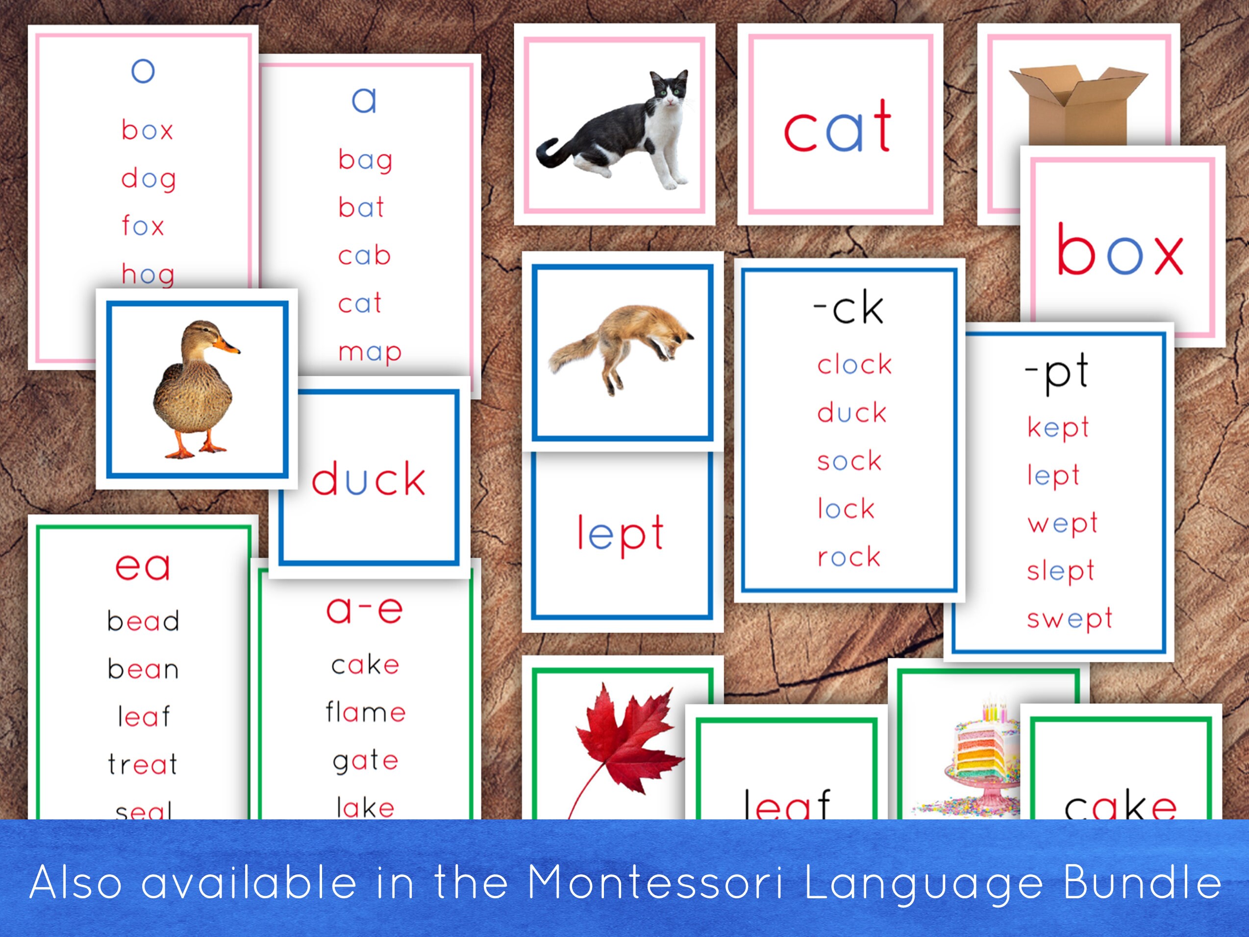 Montessori Blue Series Language Cards Learn to Read | Etsy Canada