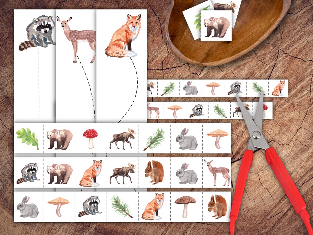 Woodland Animals Scissor Strips Set, Preschool Scissor Practice - Etsy