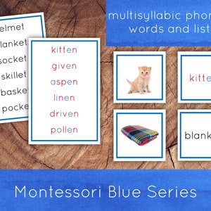 Montessori Blue Series Language Cards Learn to Read | Etsy