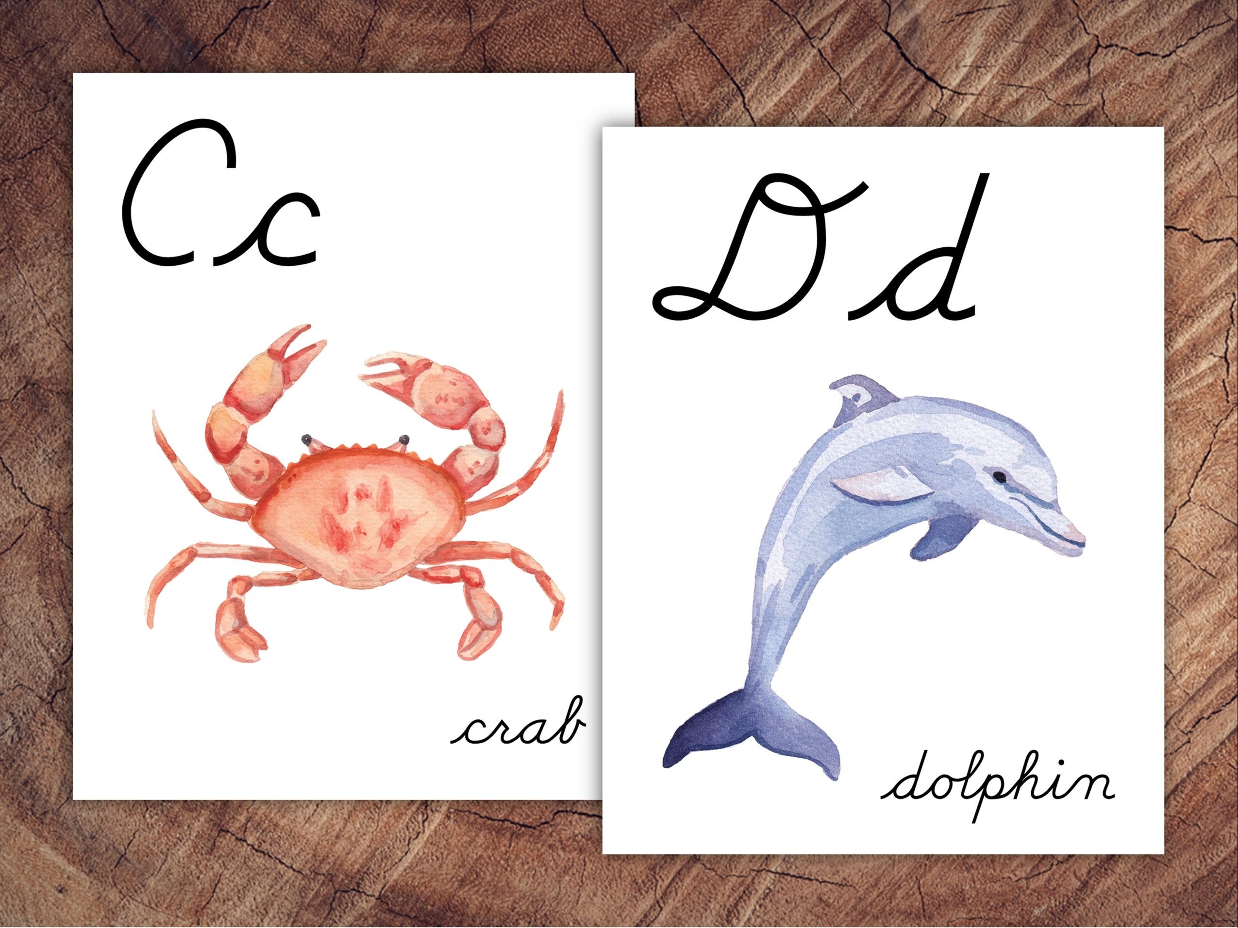 Cursive Alphabet Posters, Large Format for Classroom Use - Etsy