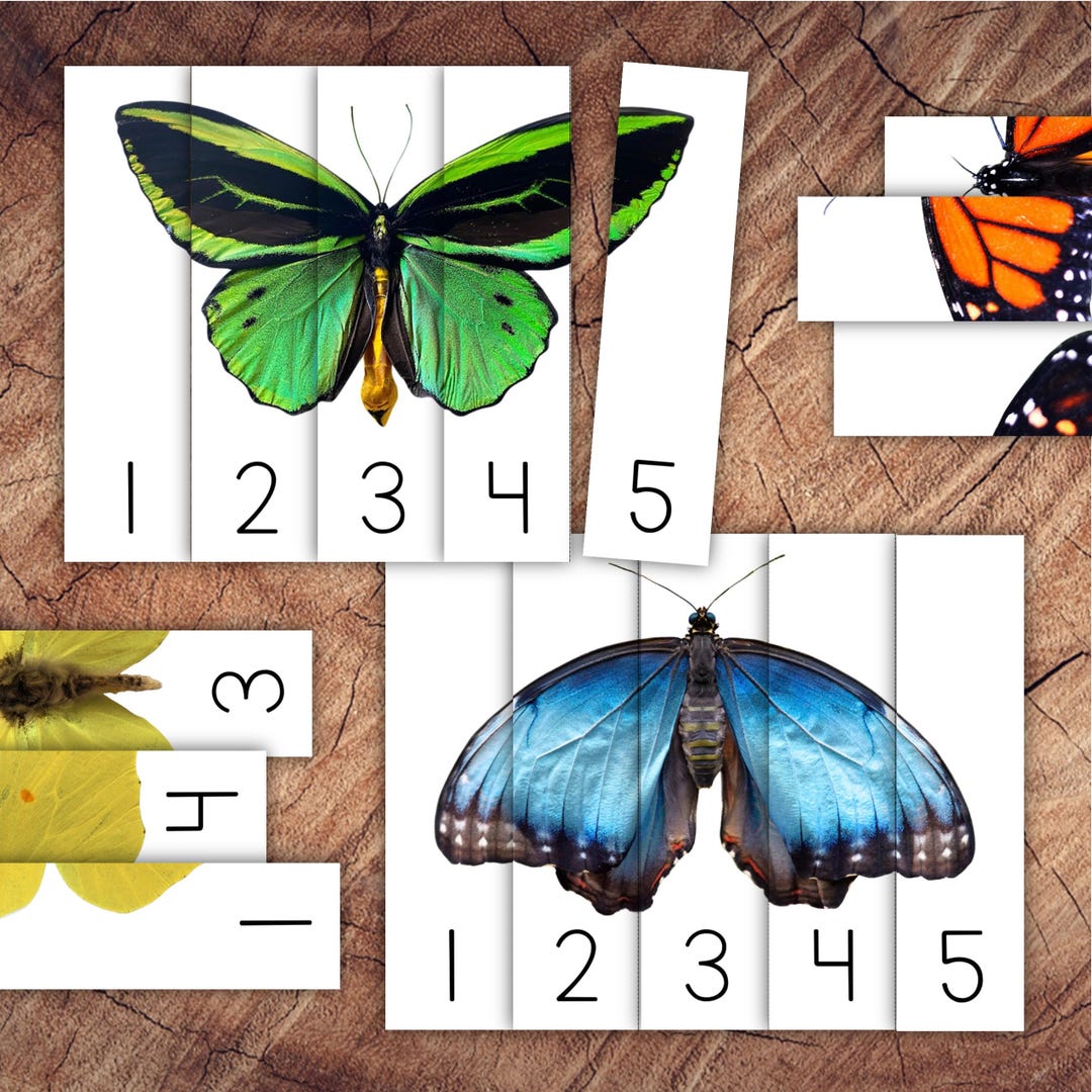 Butterfly Number Puzzles 1-5, Number Recognition, Order - Etsy